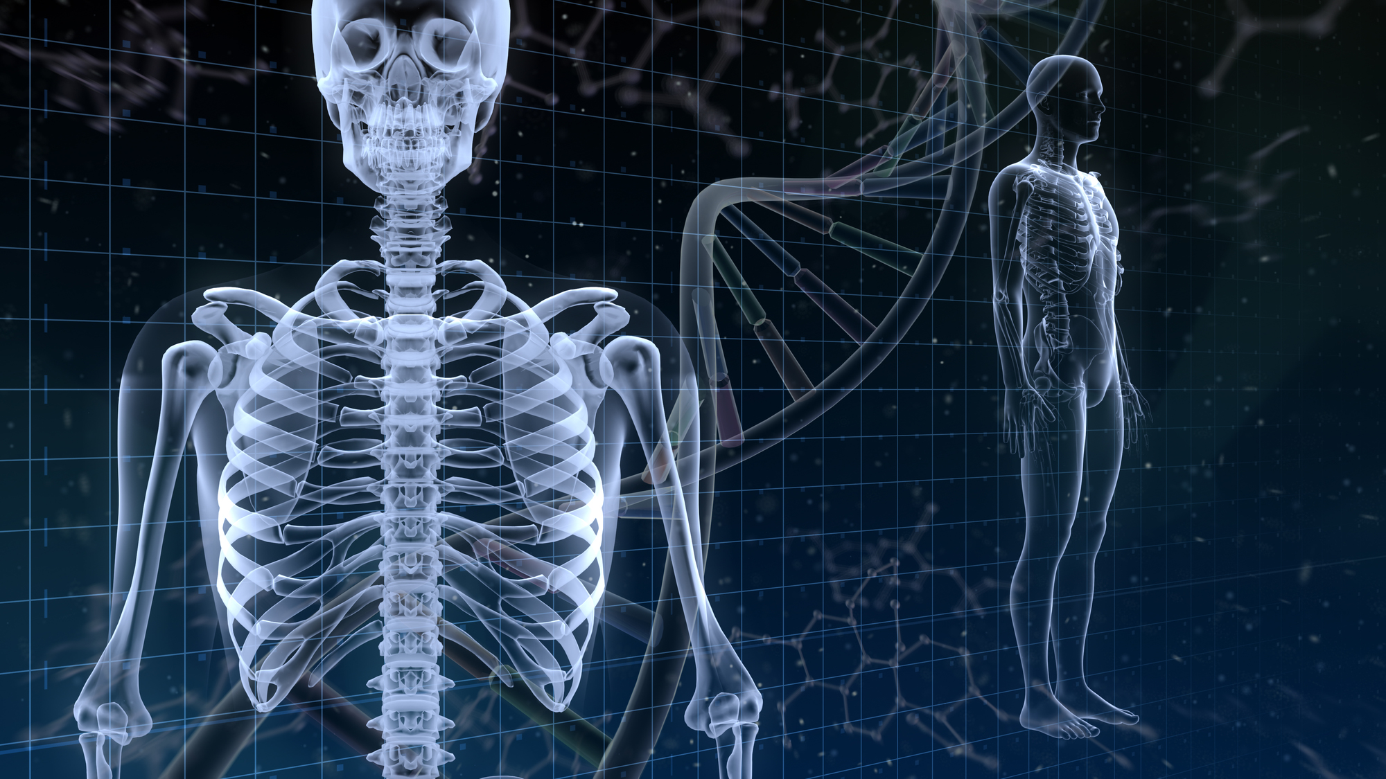 「腸内環境×老化」免疫機能低下や耐糖能異常など加齢現象のメカニズム【前編】 | TL Genomics Inc.